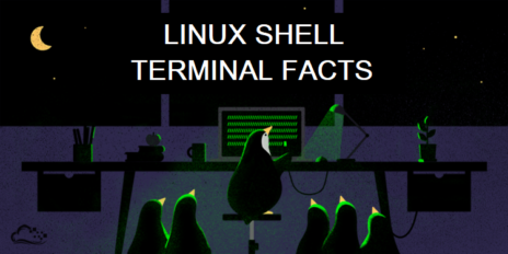 Top 11 Facts about Linux Shell Terminal - Yeah Hub