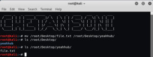Top 20 Basic Kali Linux Commands - Yeah Hub