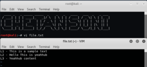 Top 20 Basic Kali Linux Commands - Yeah Hub