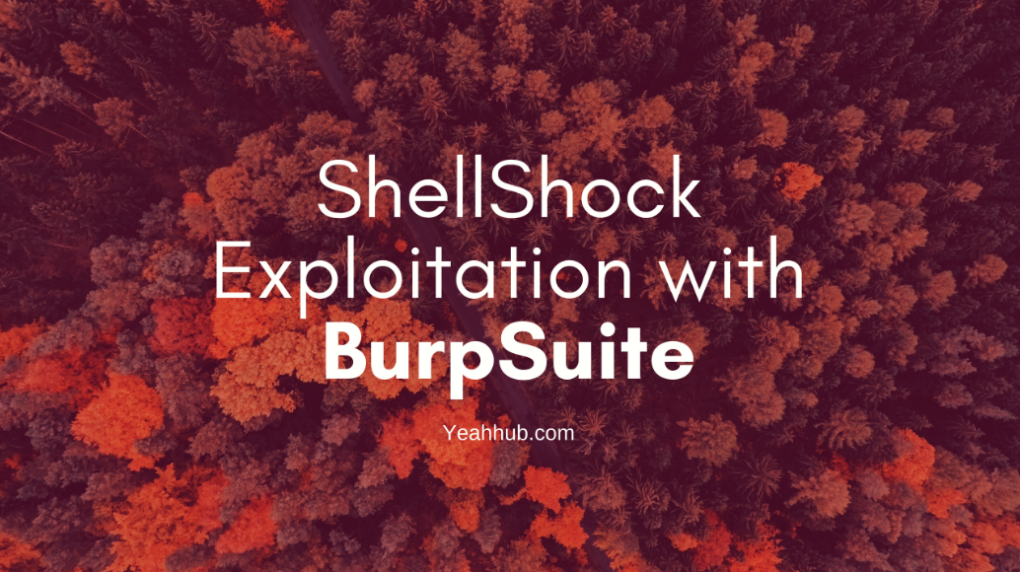 ShellShock Vulnerability Exploitation With HTTP Request - Yeah Hub ShellShock Vulnerability Exploitation With HTTP Request - Yeah Hub