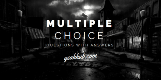 40 Computer Multiple Choice Questions with Answers - Yeah Hub