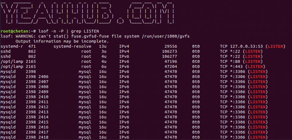 Scan Open Ports using Ss, Netstat, Lsof and Nmap - Yeah Hub