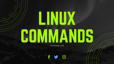15 Most Useful Host Scanning Commands – Kali Linux - Yeah Hub
